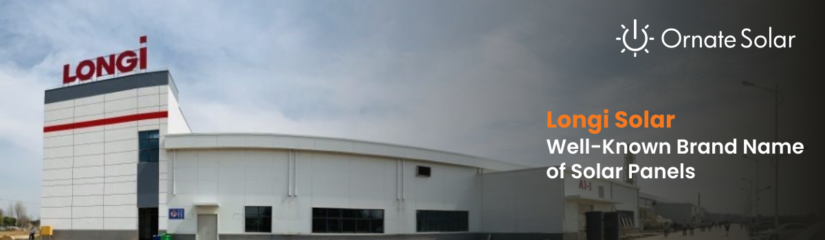 Longi Solar: The Reputed Chinese Solar Manufacturer